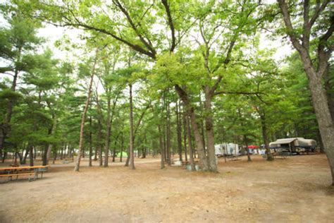 State Park Camp Michigan