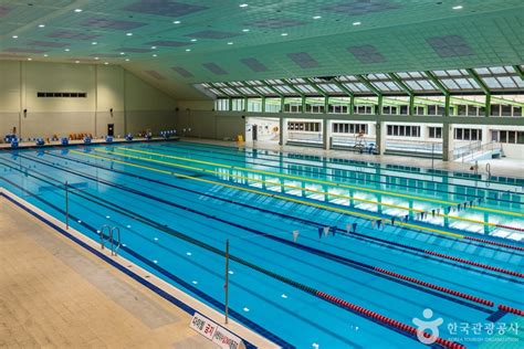 [충청북도 청주시] 청주실내수영장
