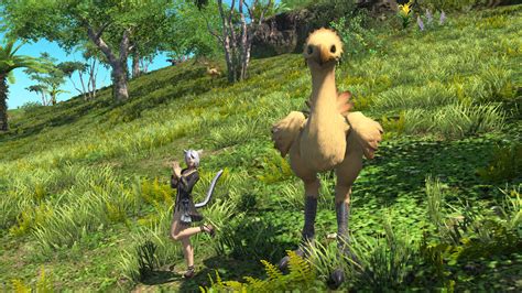 Final Fantasy Xiv Island Sanctuary Animals Where To Find Them And