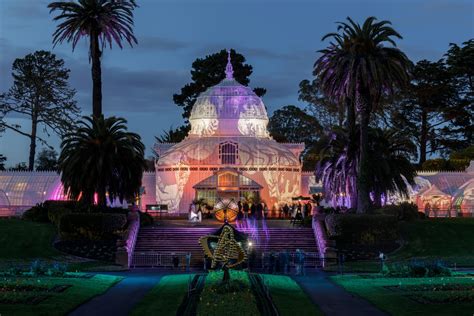 See Golden Gate Park Illuminated With Stunning Holiday Lights In December