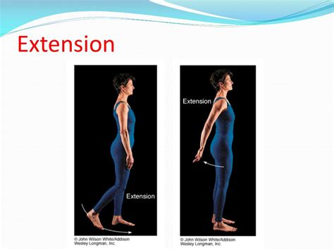 Example Of Extension Joint Movement At Kathryn Ono Blog