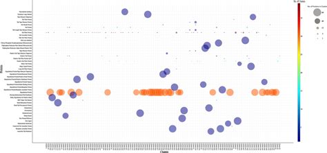 Bubble Plot Of Crucial Protein Clusters Crucial Proteins Clusters