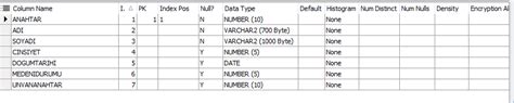 Java Localdate To Date Conversion Problem In Hibernate Ora 00932