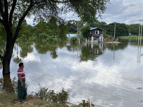 တံတားဦးမြို့နယ်တွင် ကျေးရွာအချို့၌ ဧရာဝတီမြစ်ရေနှင့် ဒုဋ္ဌဝတီမြစ်ရေဝင်ရောက်မှုကြောင့် တောင်သူမ