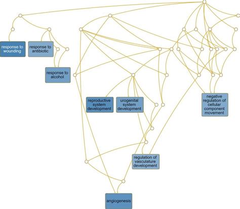 Spatial Transcriptomics Analysis Of Uterine Gene Expression In Enhancer