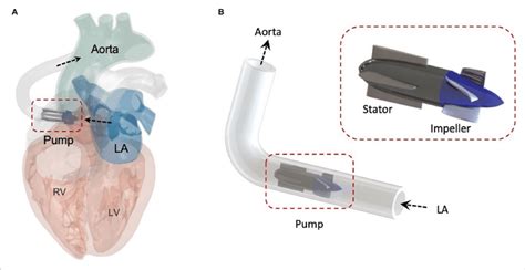 Schematic Of The Pulsatile Pump For Hfpef A Schematic Of The Download Scientific Diagram