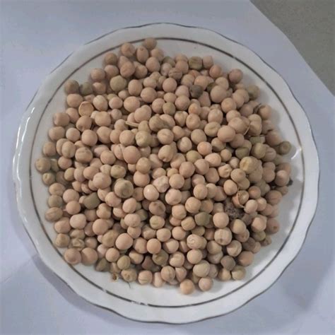 Light Brown Pea Beans At Rs 48kg In Kanpur Id 2850524324697