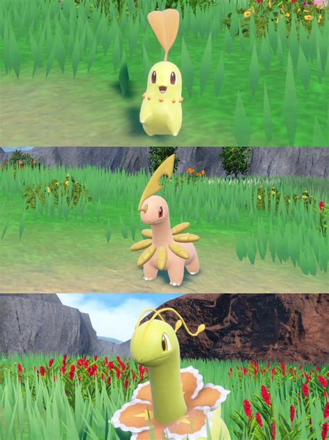 Chikorita Pokemon Shiny