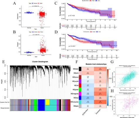Significant Immunosuppression Modules In Hcc Based On Tide Score A