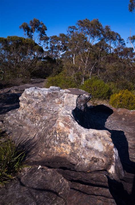 Angular Rock In The Australian Bush Stock Image Image Of Outdoor