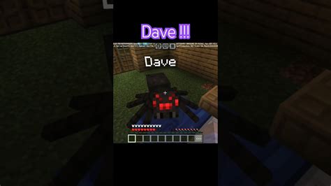Spider Dave Better Behave 🤣🤣 Funny Shorts Minecraft ♤ Youtube
