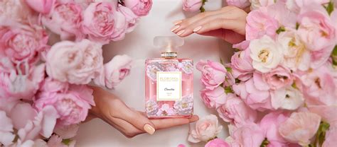 Flying High With Flutter