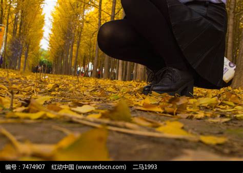 银杏林蹲这的女子高清图片下载 红动中国