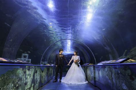 しながわ水族館 デコルテフォトグラフィー 前撮りフォトウェディング