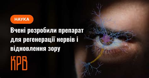 Вчені розробили препарат для регенерації нервів і відновлення зору КРВ