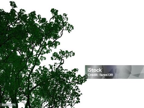 흰색 배경에 고립 된 녹색 가장자리와 개요 검은 나무의 3d 렌더링 0명에 대한 스톡 사진 및 기타 이미지 0명 공학