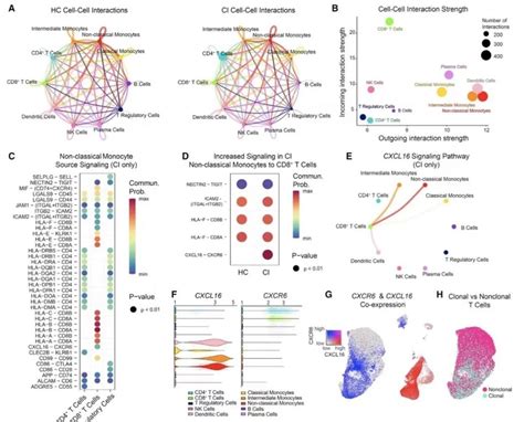 单细胞转录组分析全流程详解