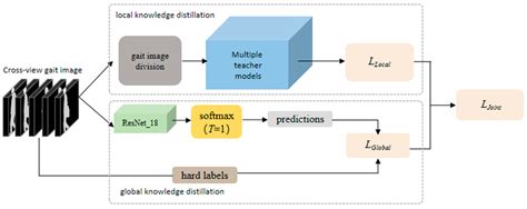 Cross View Gait Recognition Method Based On Multi Teacher Joint Knowledge Distillation