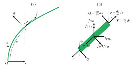 1 Schematic Diagram For The Coordinate Systems And The Free Body Download Scientific Diagram