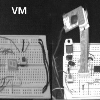 Block Diagram Of VM Download Scientific Diagram