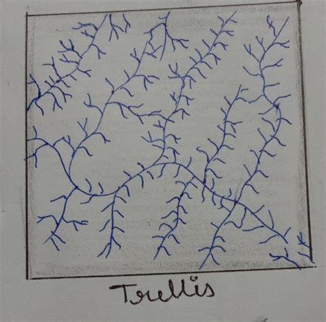 Trellis Drainage Pattern