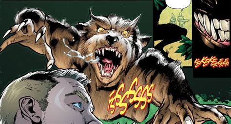 10 Fatos Sobre O Doninha O Vício