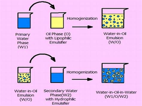 A Beginners Guide To Emulsifiers Types Functions And Applications China Food Additives