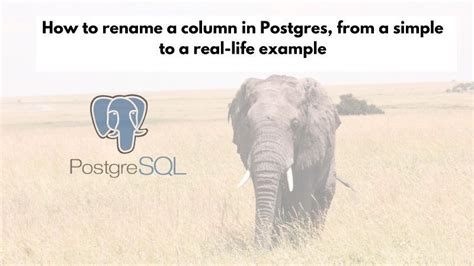 Geshan Manandhar On Linkedin How To Rename A Column In Postgres From