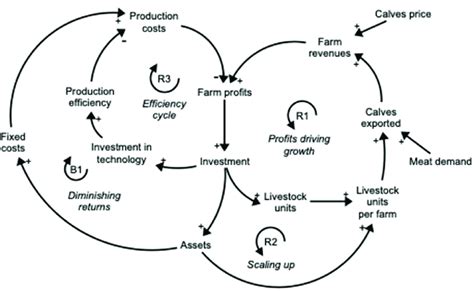 A Causal Loop Summarising Reinforcing Loops Included In The Model