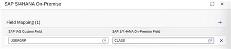 How To Create Custom Fields In Sap Iag Access Request Form Togglenow