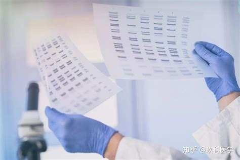 想做高通量测序实验看这里，国自然课题用得上 知乎