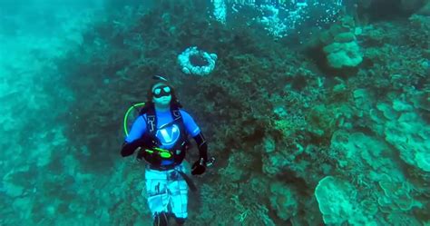 Buceo ~ Buceo ~