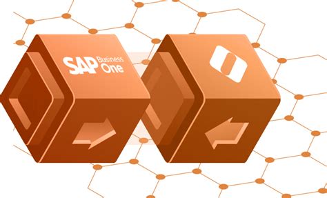B2b Ecommerce For Sap Business One Integration For Sap B1