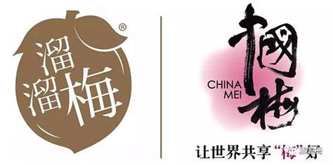 溜溜梅 logo的搜索结果 360图片