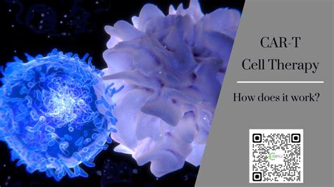How Does Car T Cell Therapy Work