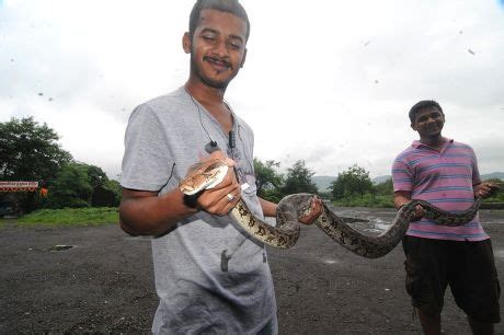 Man With Python Stock Pictures Editorial Images And Stock Photos Shutterstock