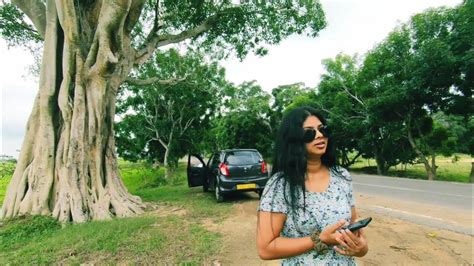 රොට්ට සංචාරක පක්ෂින් පිරුනු පාරාදීසයක Trip එක Youtube