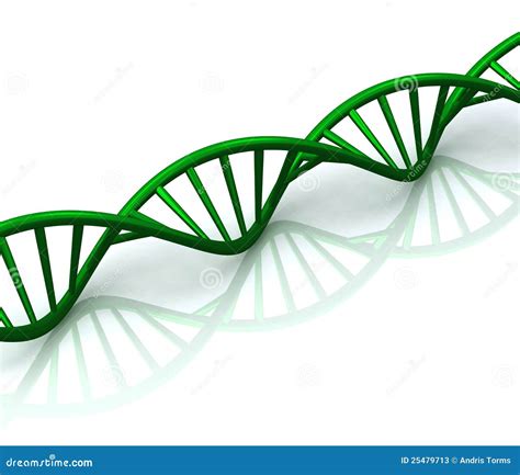 Green Genome With Colore Dna Isolated On White Background Genome