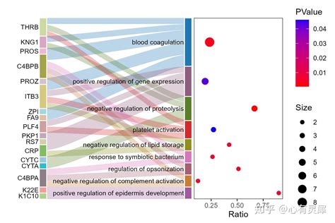 R语言如何绘制桑基气泡图 知乎