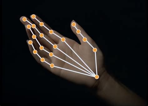 Vision Tutorial For Ios Detect Body And Hand Pose Kodeco The New