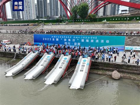 ယန်ဇီမြစ် Sturgeon အကောင်ရေ ၇၁၀၀၀၀ ကျော်ကို လွှတ်ပေး