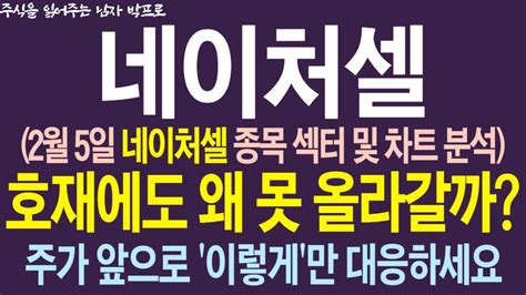 네이처셀 주가전망 2월 5일 네이처셀 종목 섹터 및 차트 분석 호재에도 왜 못 올라갈까 주가 앞으로 이렇게만 대응하세요 네이처셀 네이처셀주가전망 Youtube