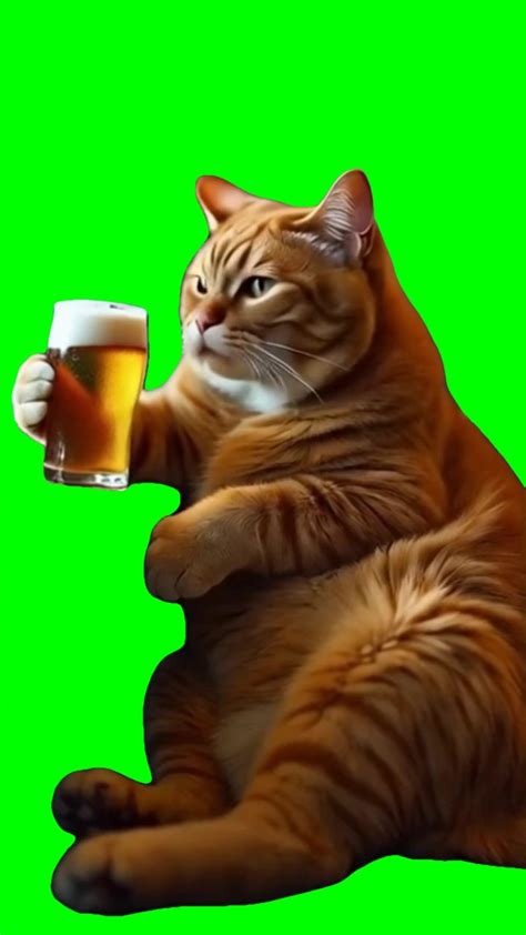 Cat Drinking Meme Green Screen Video Download Mp4