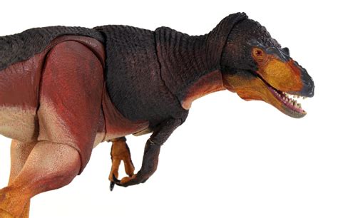 Dryptosaurus Aquilunguis Final Paint Sample And Shipping Update