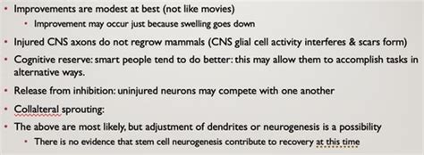 Psyc Exam Flashcards Quizlet Psyc Exam Flashcards Quizlet