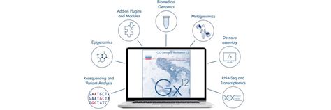 Simplify Your Bioinformatics Analysis With The New Clc Genomics Workbench 12 Bioinformatics