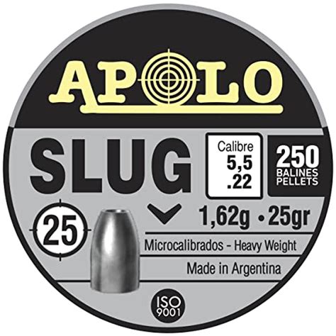 Why I Switched To 22 Caliber Pellet Slugs An Experts Insight On
