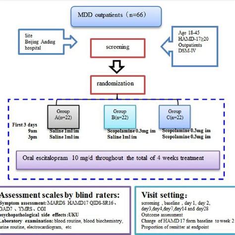 Abbreviations CGI Clinical Global Impression CRF Case Report Form Download Scientific