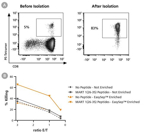 Technical Bulletin Dendritic Cell Cd8 T Cell Co Culture To Assess Antigen Specific T Cell