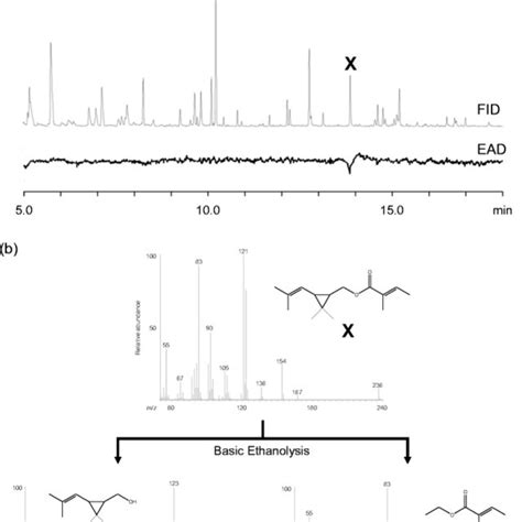 Gas Chromatography Flame Ionization Detection Method At Joel Lennon Blog